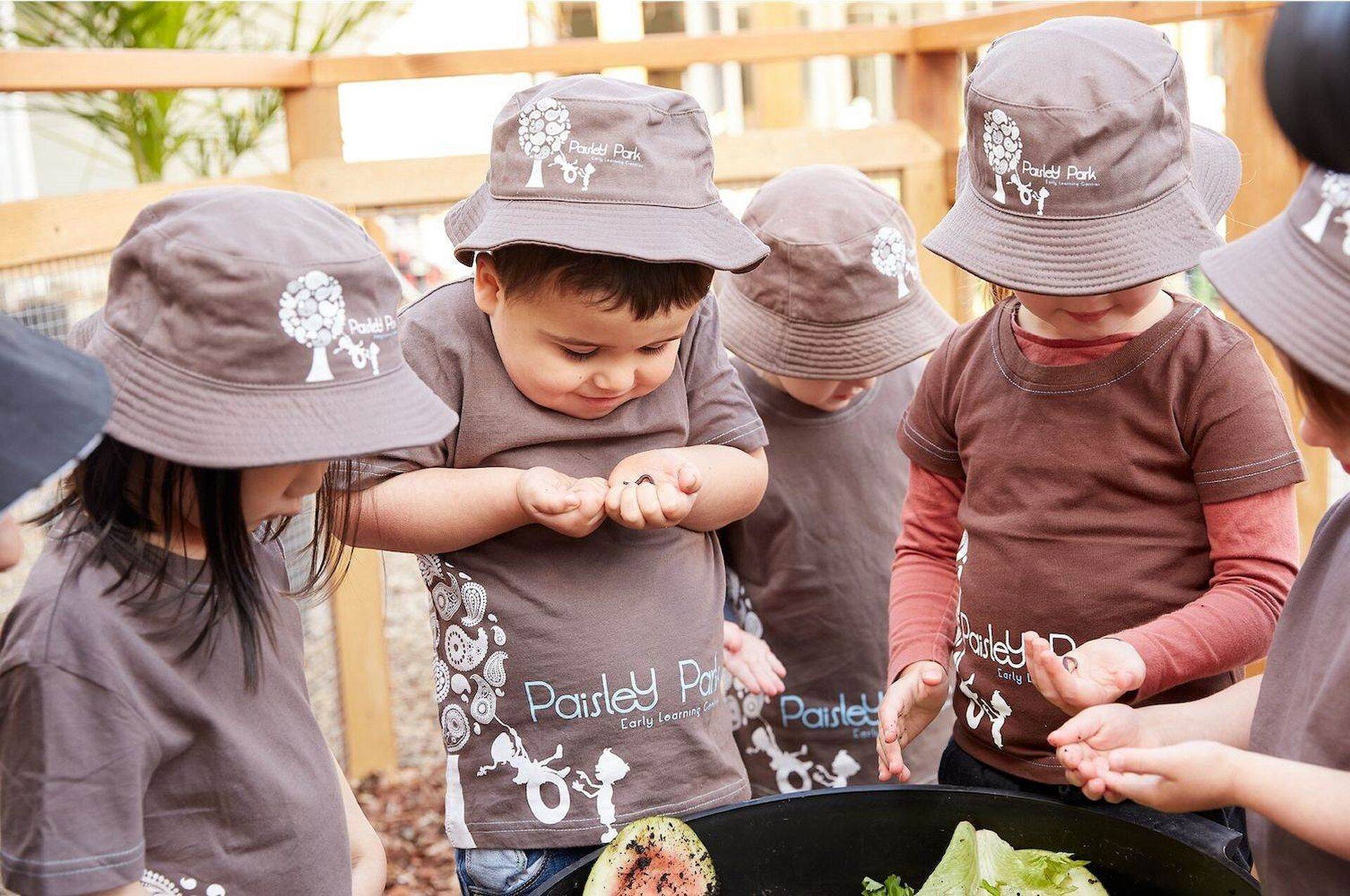 Paisley Park Early Learning Centre Newtown Toddle
